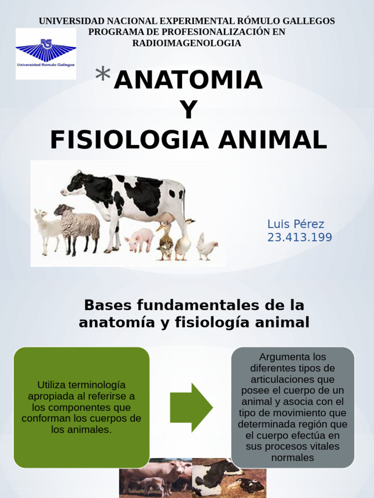 Anatomia y Fisiologia Animal | PDF | Anatomía | Términos anatómicos de ...