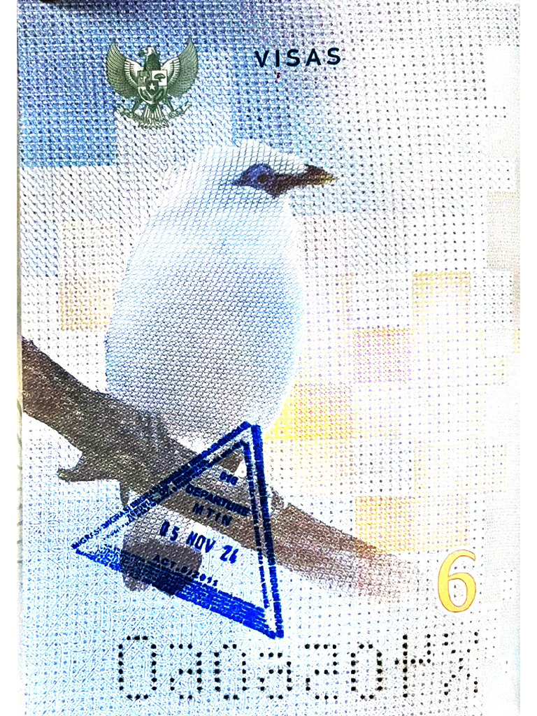 Passport Visas Scanned | PDF