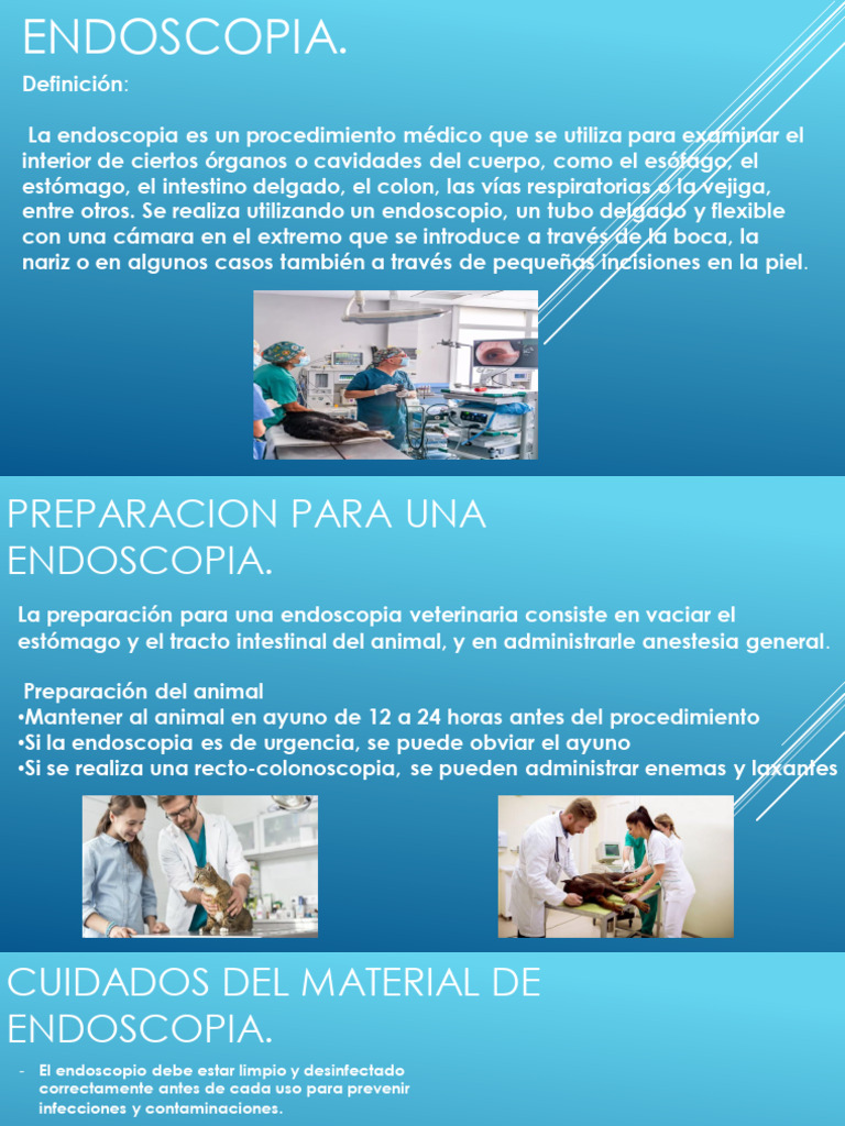 Endos | PDF | Endoscopia | Sistema digestivo