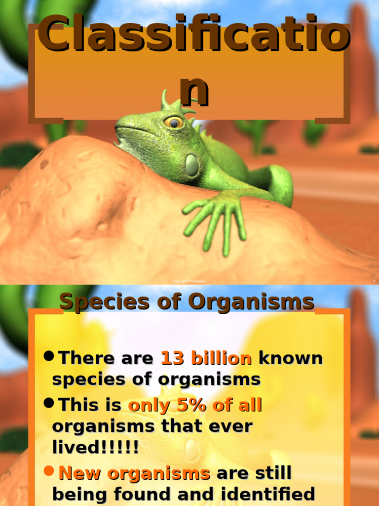 Classification of Living Things | PDF | Taxonomy (Biology) | Archaea