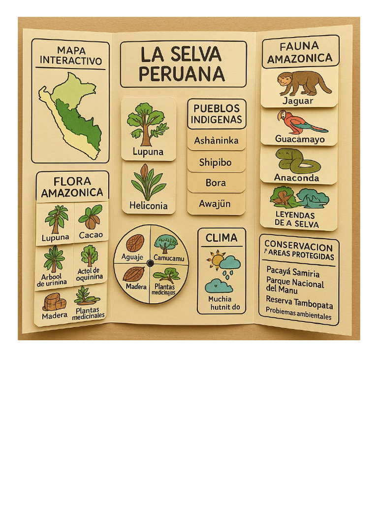 La Selva Peruana Lapbook | PDF