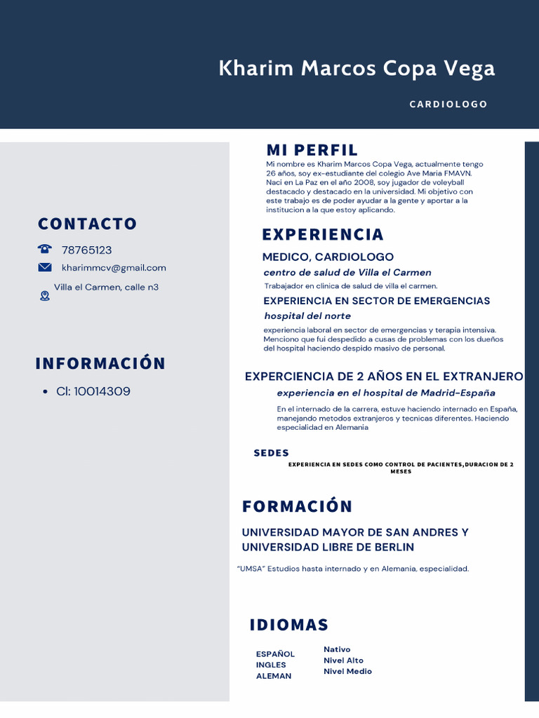 Currículum Vitae Asesor Financiero Profesional Corporativo Azul y Gris | PDF