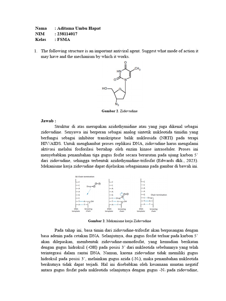 Tugas Kimia Medisinal 238114017 Aditama | PDF