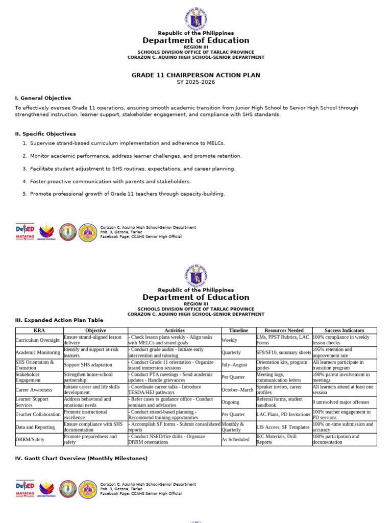ACTION PLAN - GRADE 11 CHAIRPERSON (AutoRecovered) | PDF