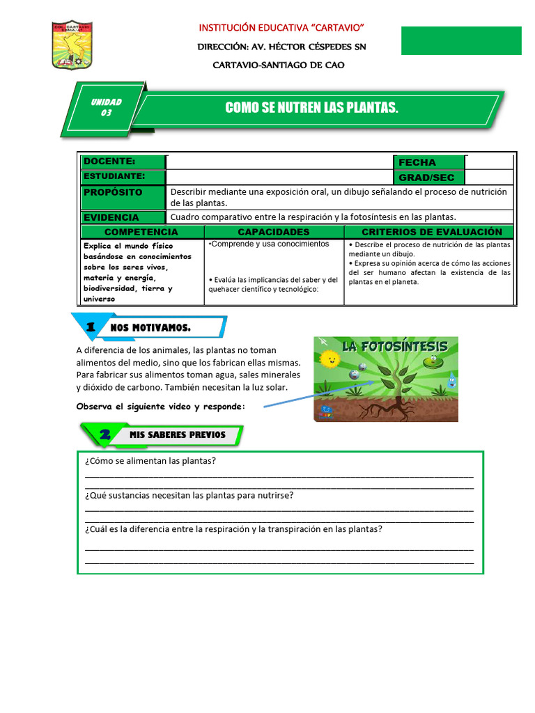 Nutrición de las Plantas: Proceso y Función | PDF | Plantas | Raíz