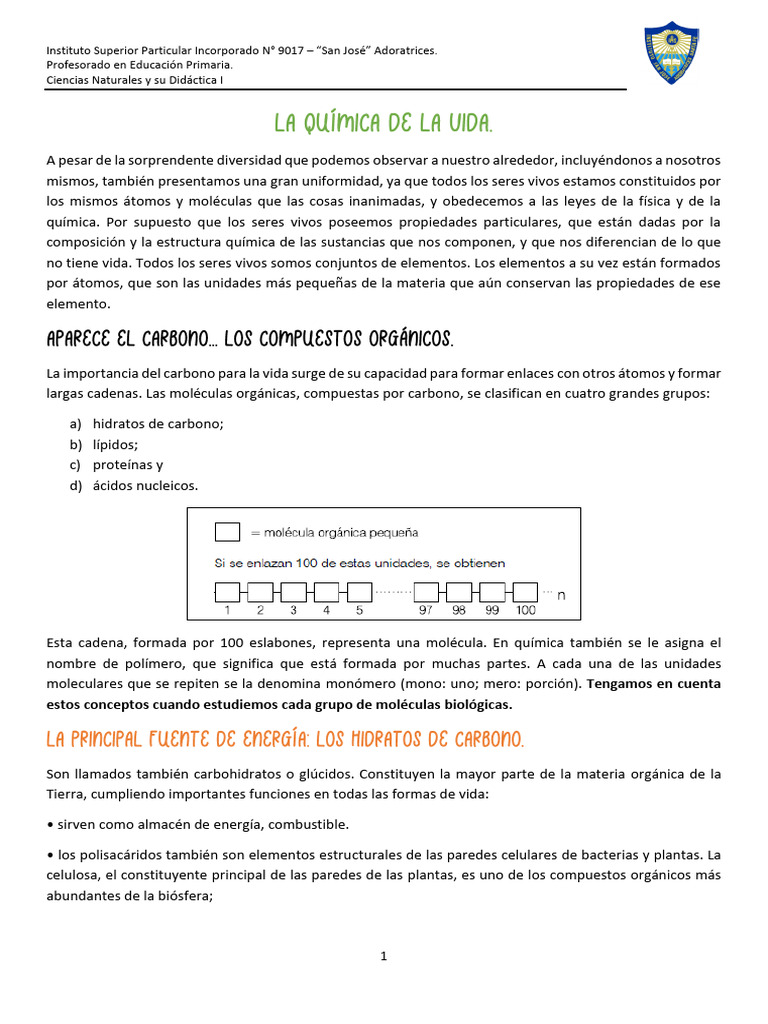 Química de la Vida: Compuestos Orgánicos | PDF | Polisacárido ...
