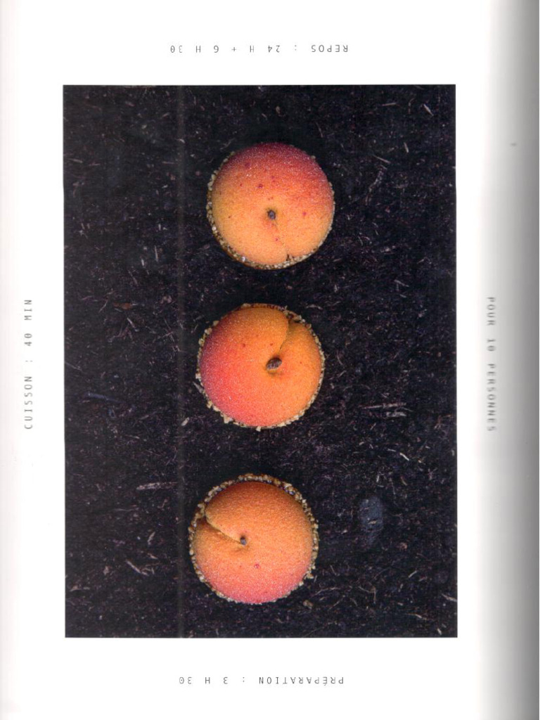 51 75 | PDF