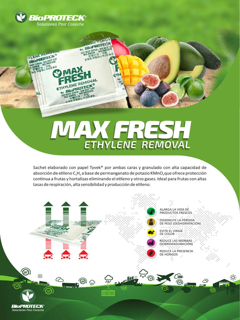 Sachet Max Fresh | PDF | Materiales
