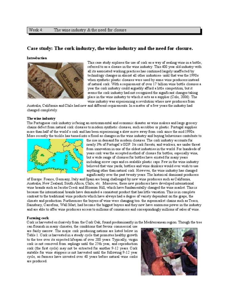 Case Study | PDF | Wine | Grape