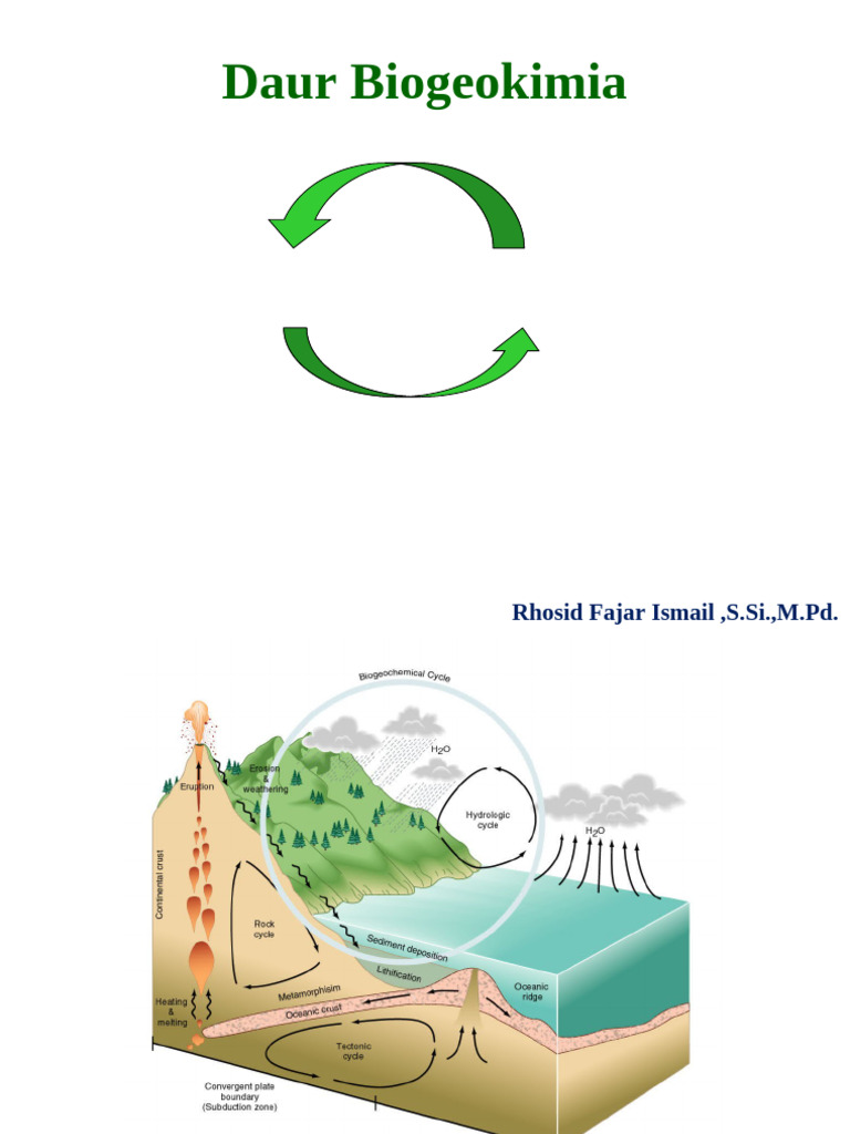 Daur Biogeokimia | PDF