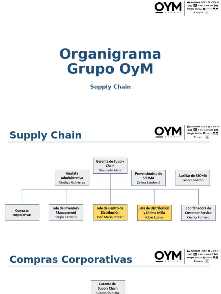 Organigrama de Supply Chain OyM | PDF | Logística