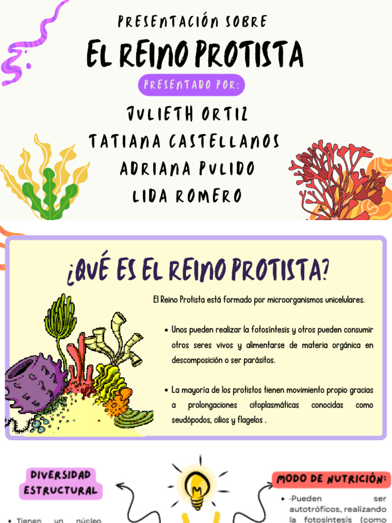 Reino Protista | PDF | Protozoos | Algas