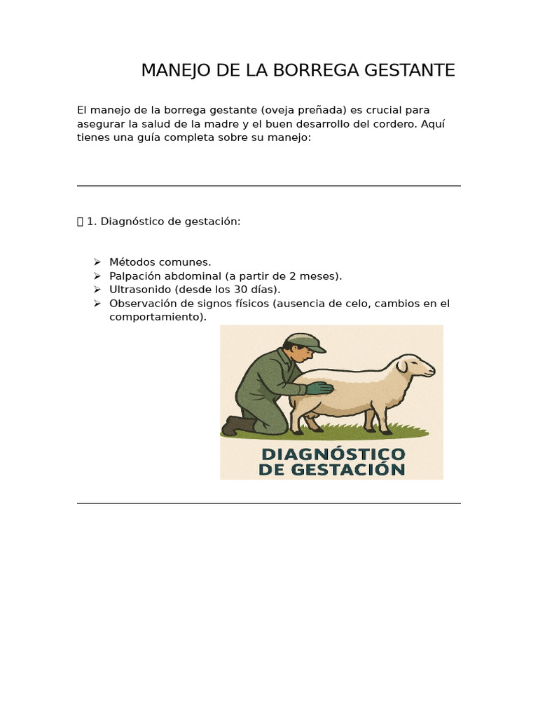 Manejo de La Borrega Genstante | PDF