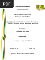 Ficha Técnica Del Pasto Guinea (Panicum Máximum Cv. Guinea Común) | PDF
