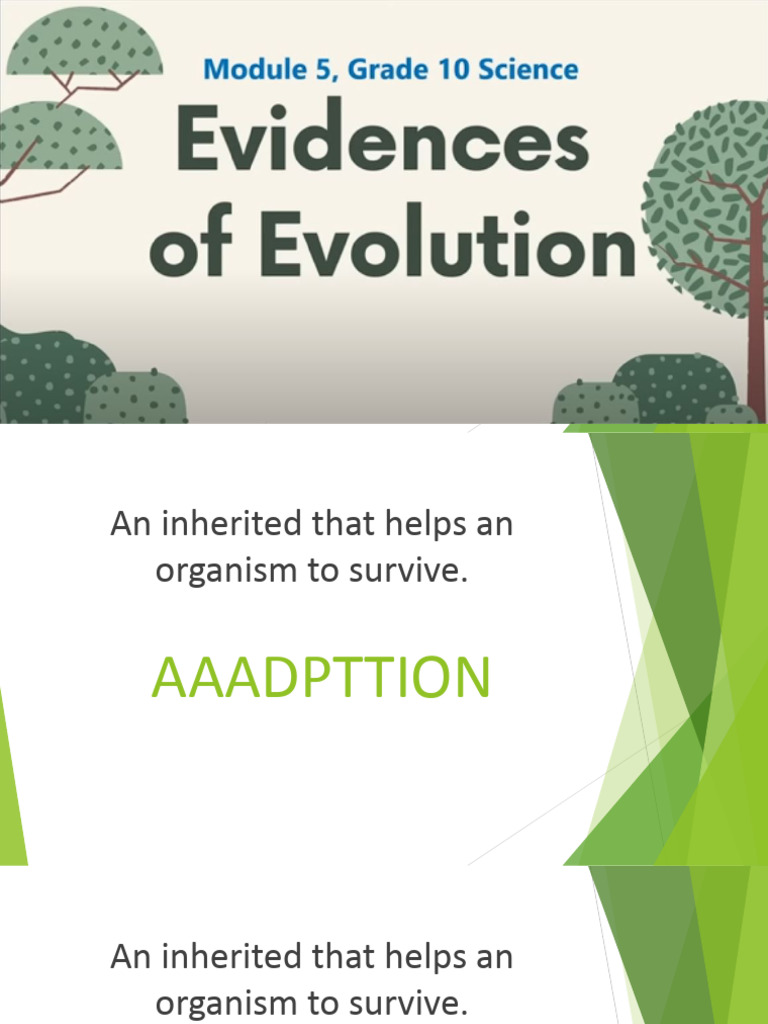 Evolution and Adaptation Concepts | PDF