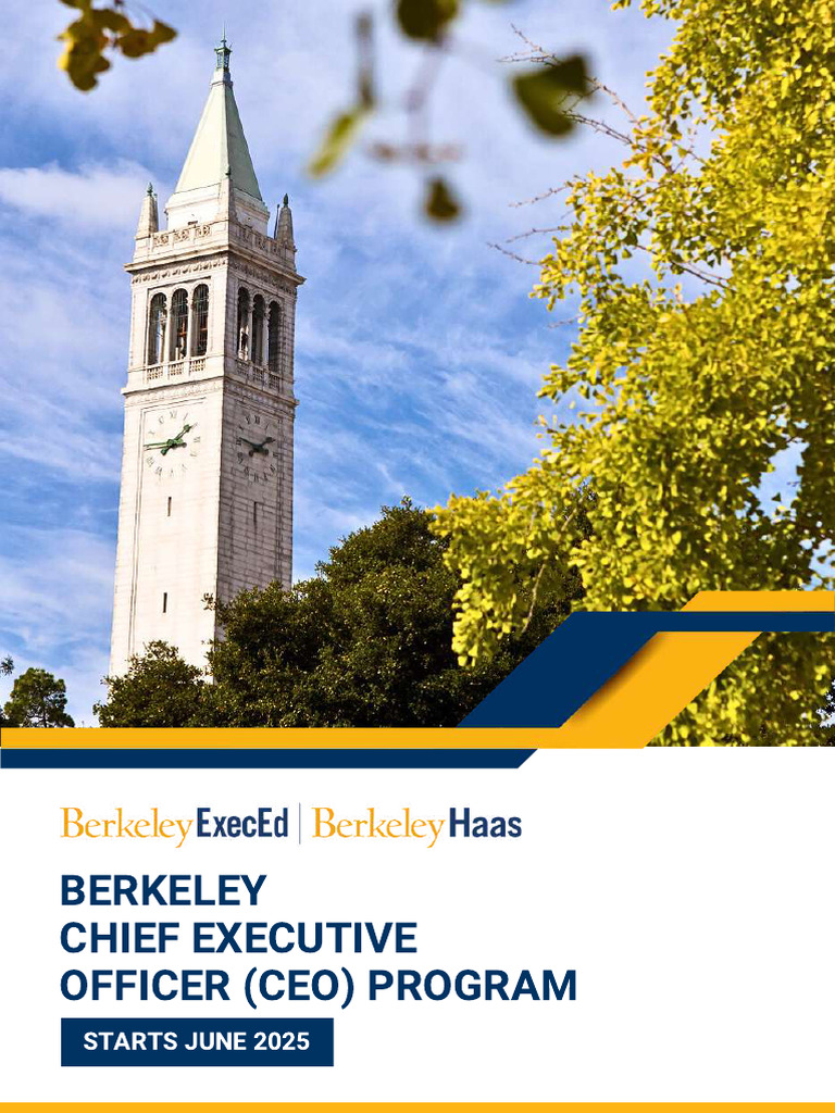 BH-CEO B2C Brochure June 2025 | PDF | Strategic Management | Innovation