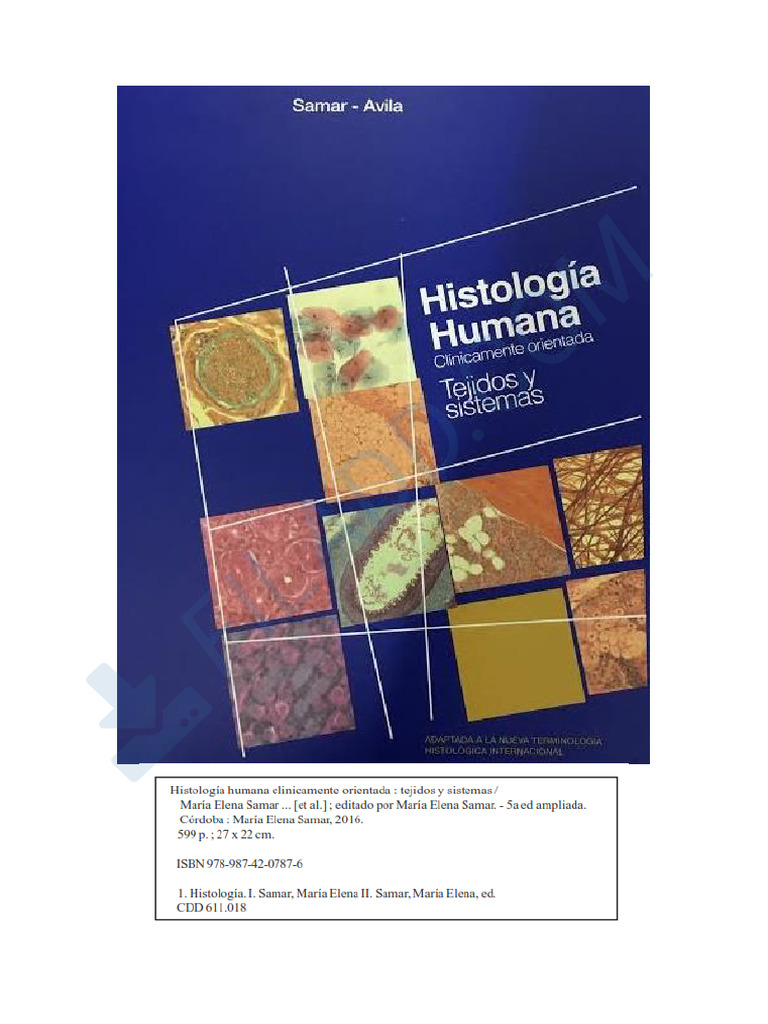 Histologia Samar 2 | PDF | Epitelio | Músculo