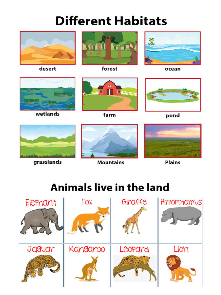 Habitats: Land and Water Animals | PDF