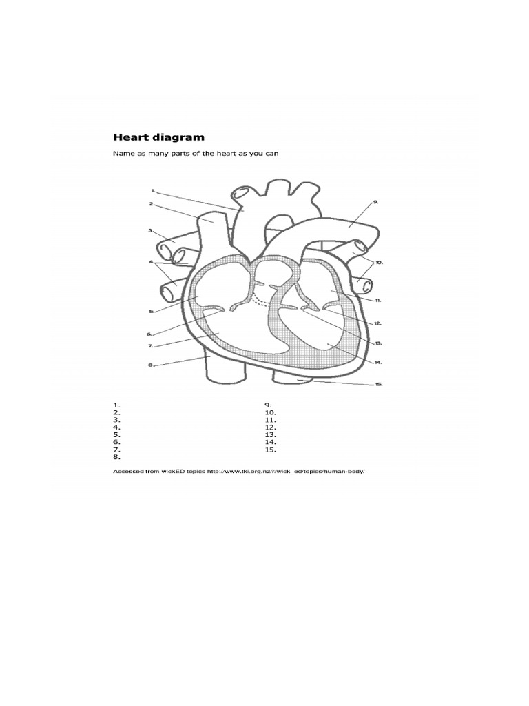 Blank Heart HW | PDF