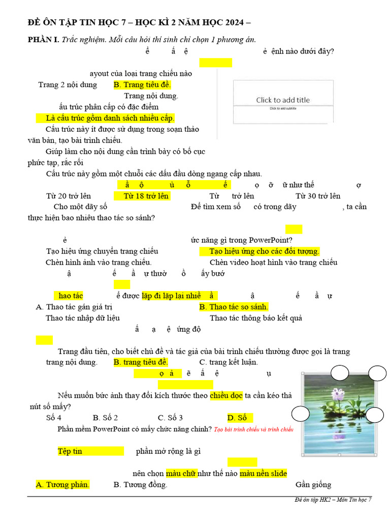 Đa- Đề Ôn Tin 7 - Hk2 | PDF