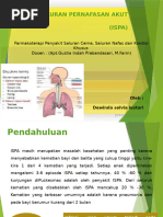 Guideline Terapi ISPA | PDF