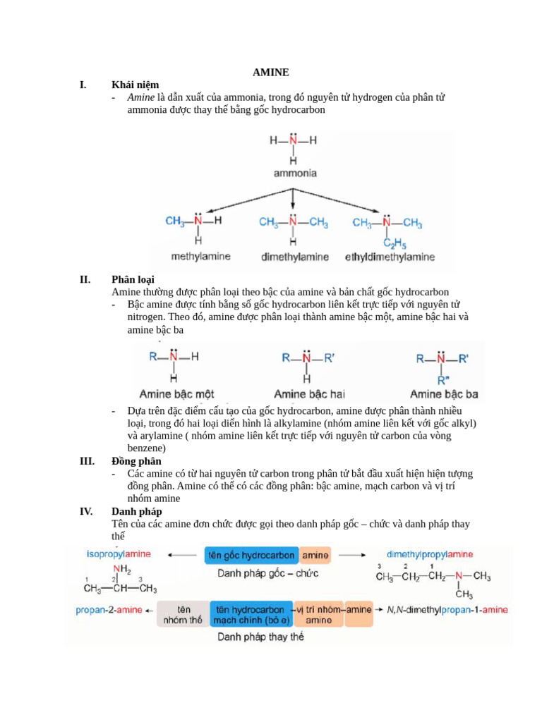 AMINE | PDF