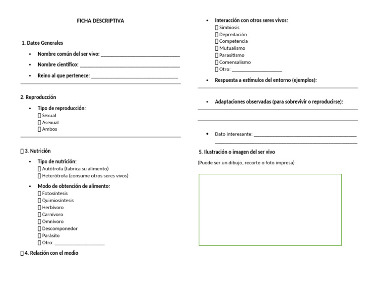Ficha Descriptiva | PDF