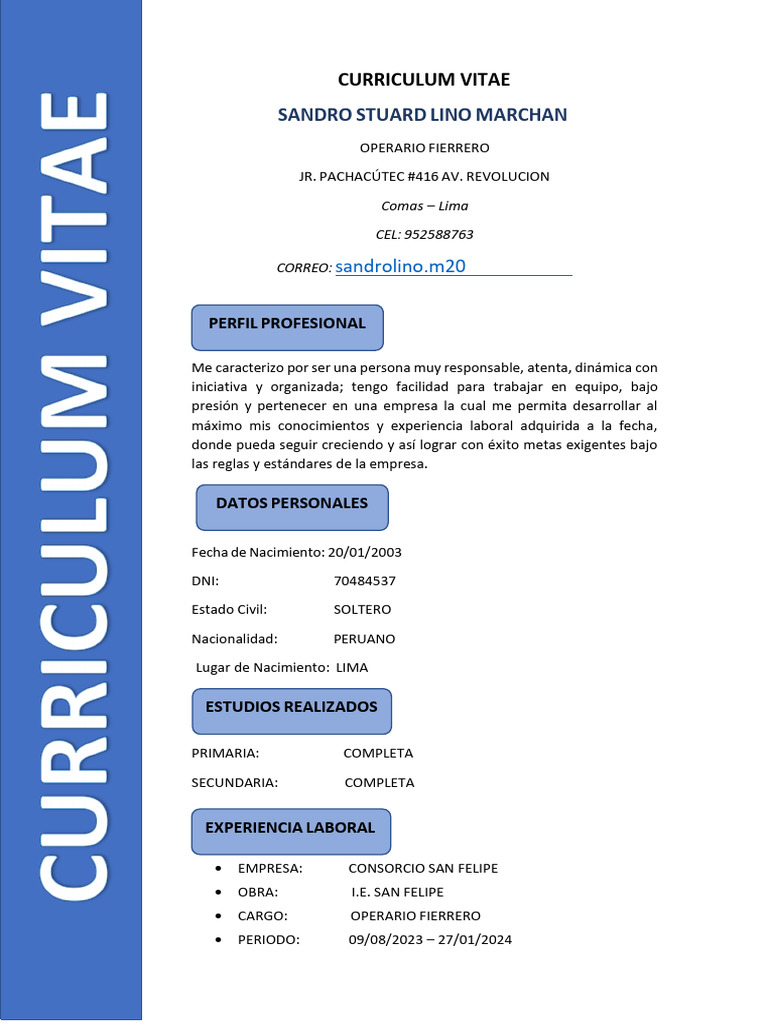 Curriculum Sandro Lino Marchan | PDF