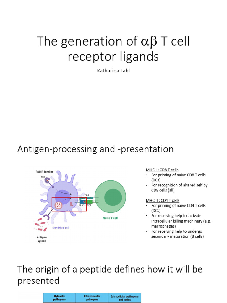 T Cell Receptor Ligands Overview | PDF | Mhc Class I | T Cell