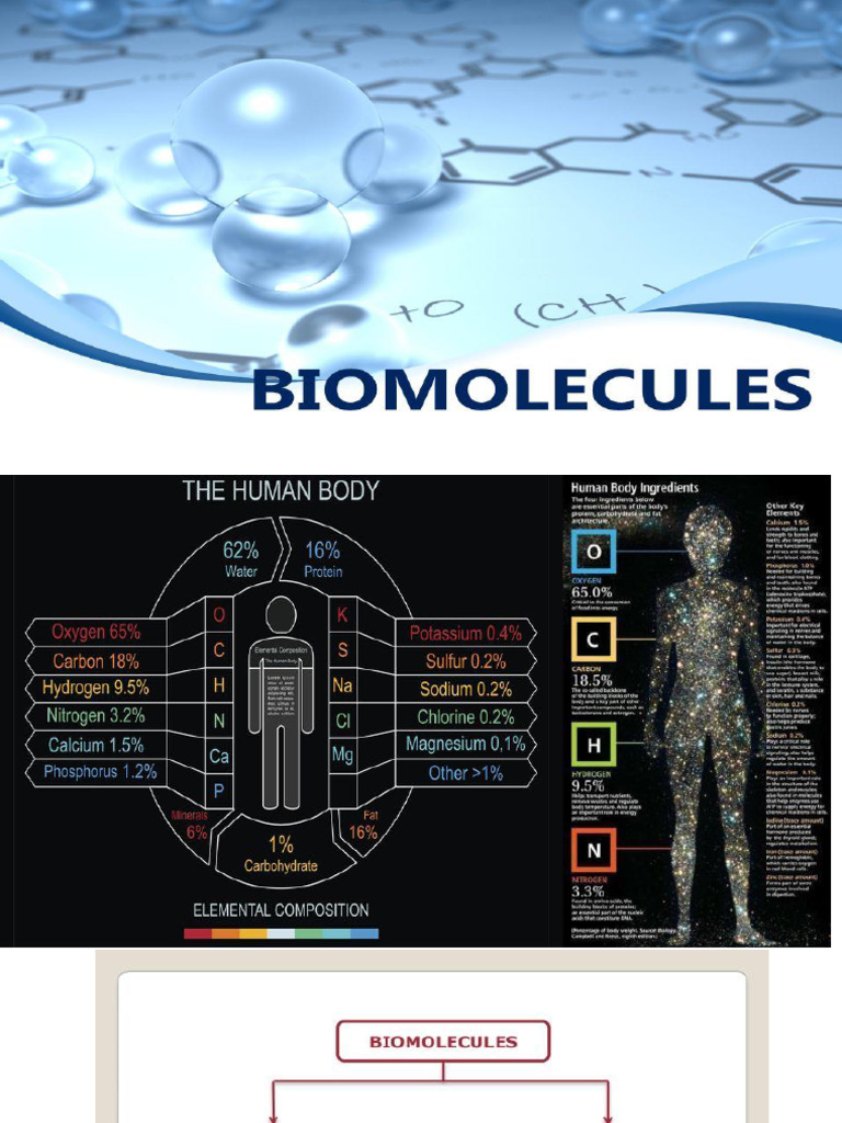 Biomolecules | PDF