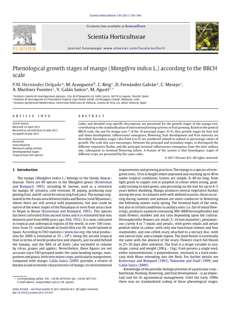 Phenological Growth Stages of Mango (Mangifera Indica L.) According To ...