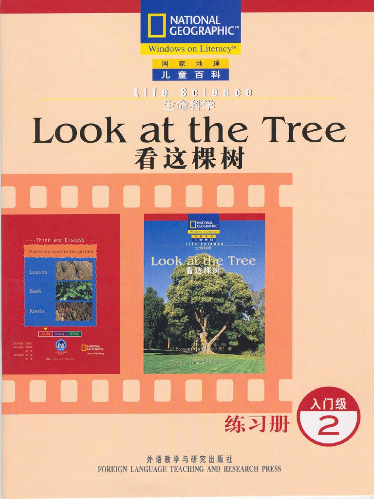 0202 Look at The Tree | PDF