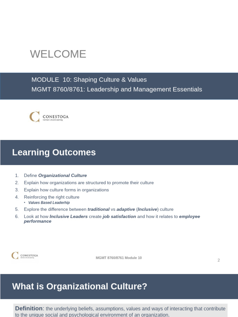 MGMT 8760, 8761 Module 10 Shaping Culture & Values With Notes | PDF ...