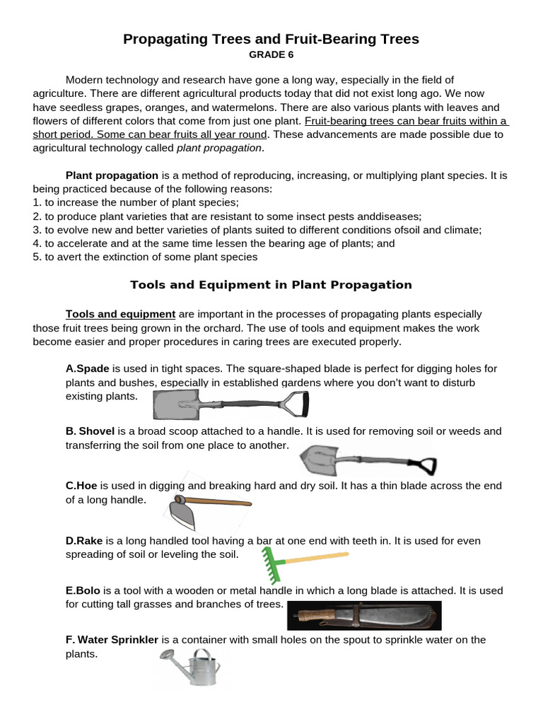 Tree Propagation Techniques and Tools | PDF | Grafting | Botany