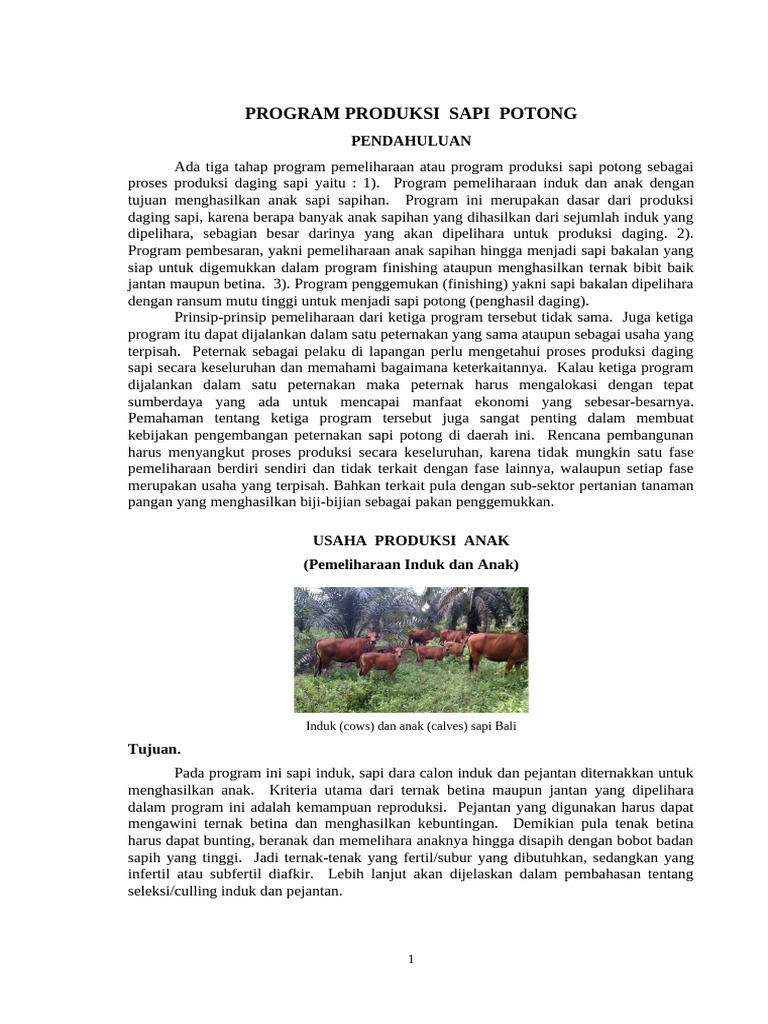Program Produksi Sapi Potong | PDF