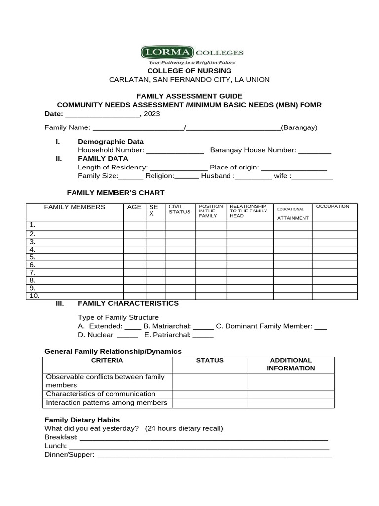 2021 Family Assessment Tool For CHN 1 LP | PDF | Home Appliance