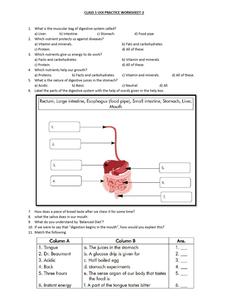 Class 5 UOI Worksheet 2 | PDF