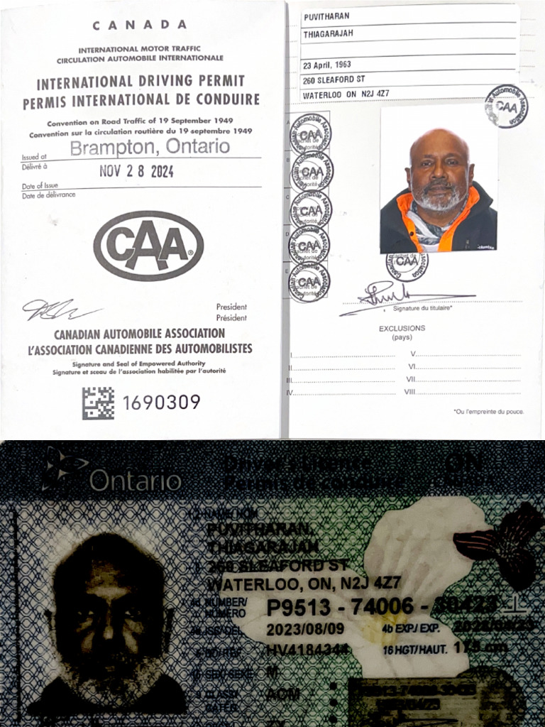 International Driving Permit | PDF
