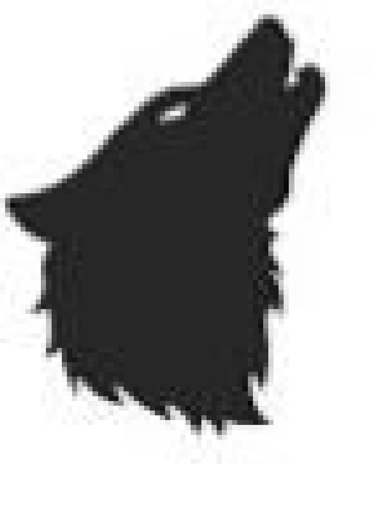 PDF Phoenix 20250625 153113 | PDF