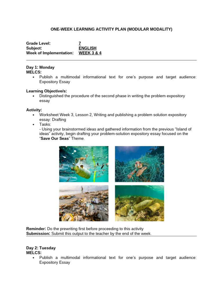 Activity Plan For Grade 7 | PDF | Essays | Writing