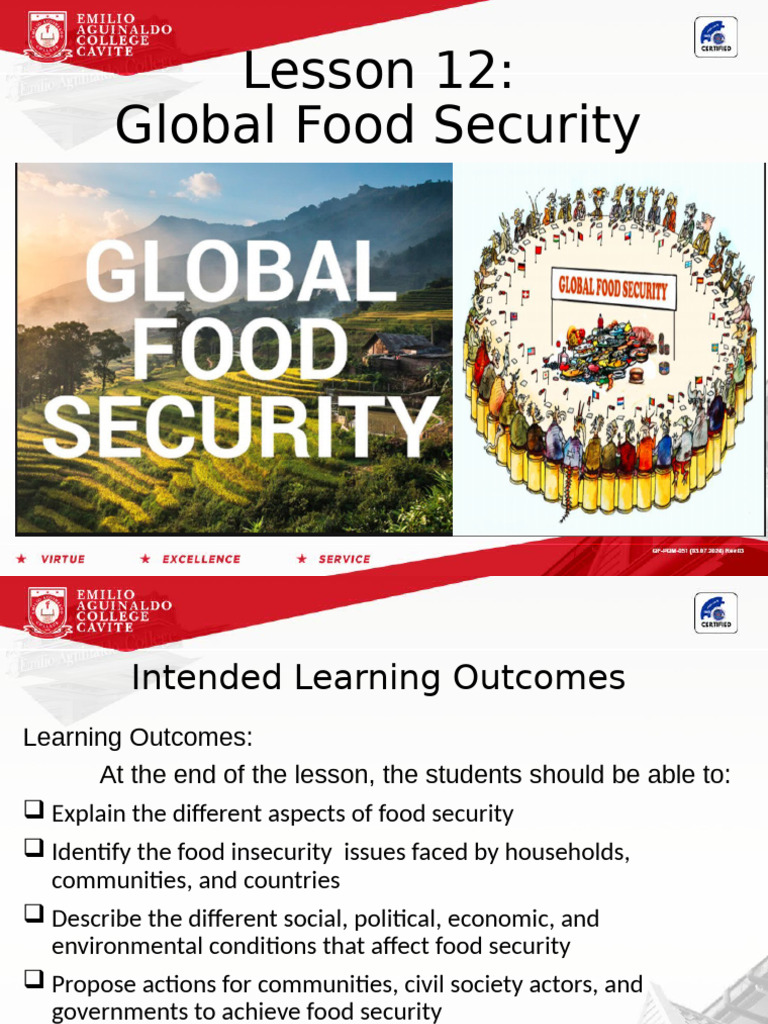 Lesson 12 Global Food Security | PDF | Food Security | Sustainability