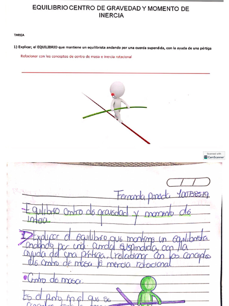 Fernanda Pineda 100738579 | PDF