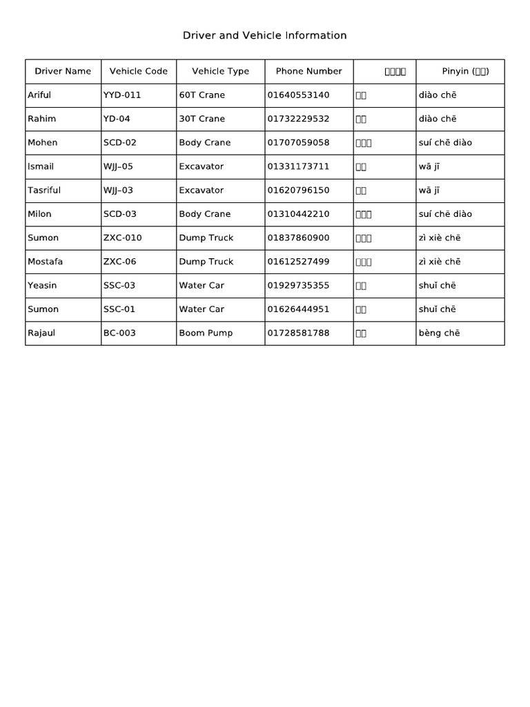 Driver Vehicle Info Final | PDF