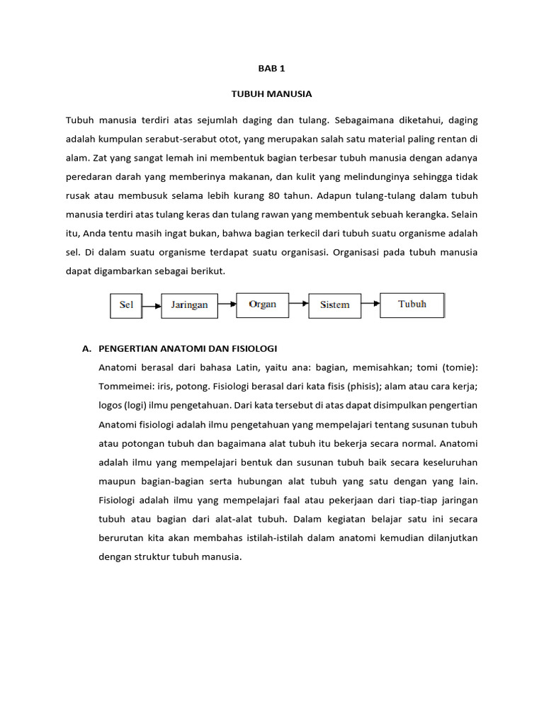 Anatomi dan Fisiologi Tubuh Manusia | PDF