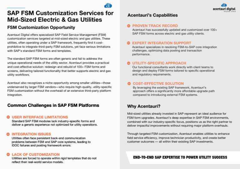SAP FSM Customization Services For Mid | PDF | Public Utility | Computing