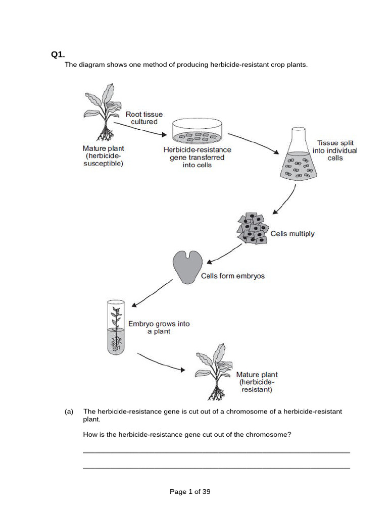 Inheritance Exam Q and Ms | PDF | Genetics | Meiosis