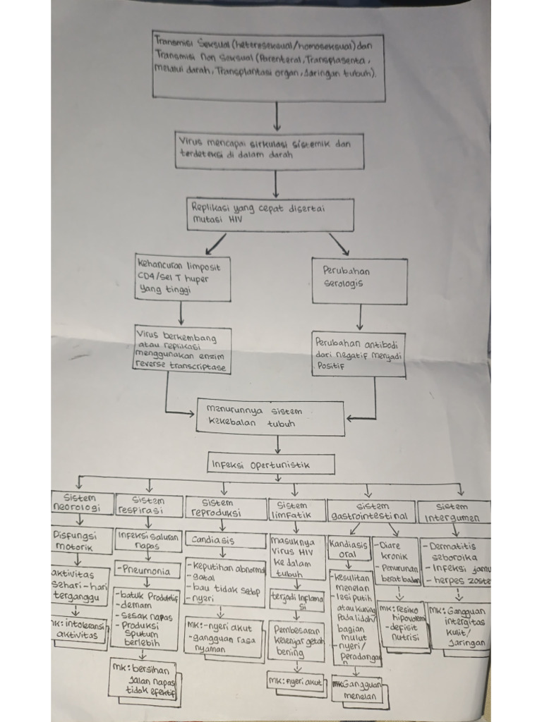Woc Pdf
