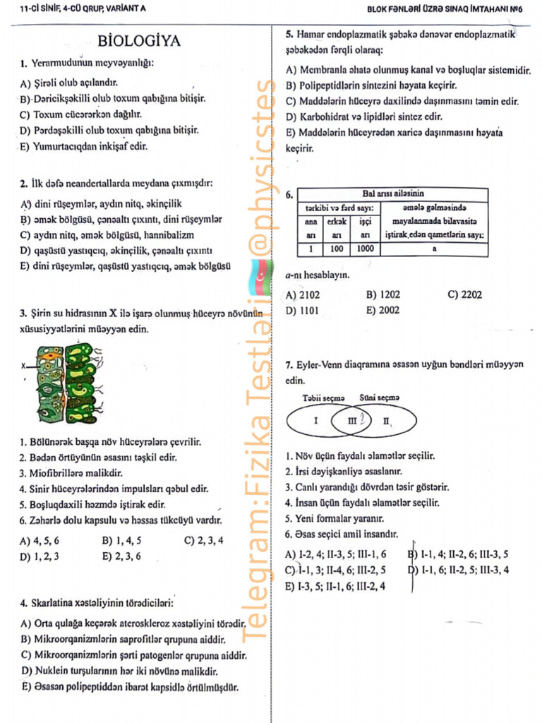(Merge) 4 Qrup Otk 15 Iyun 11 Sinif 2025 | PDF