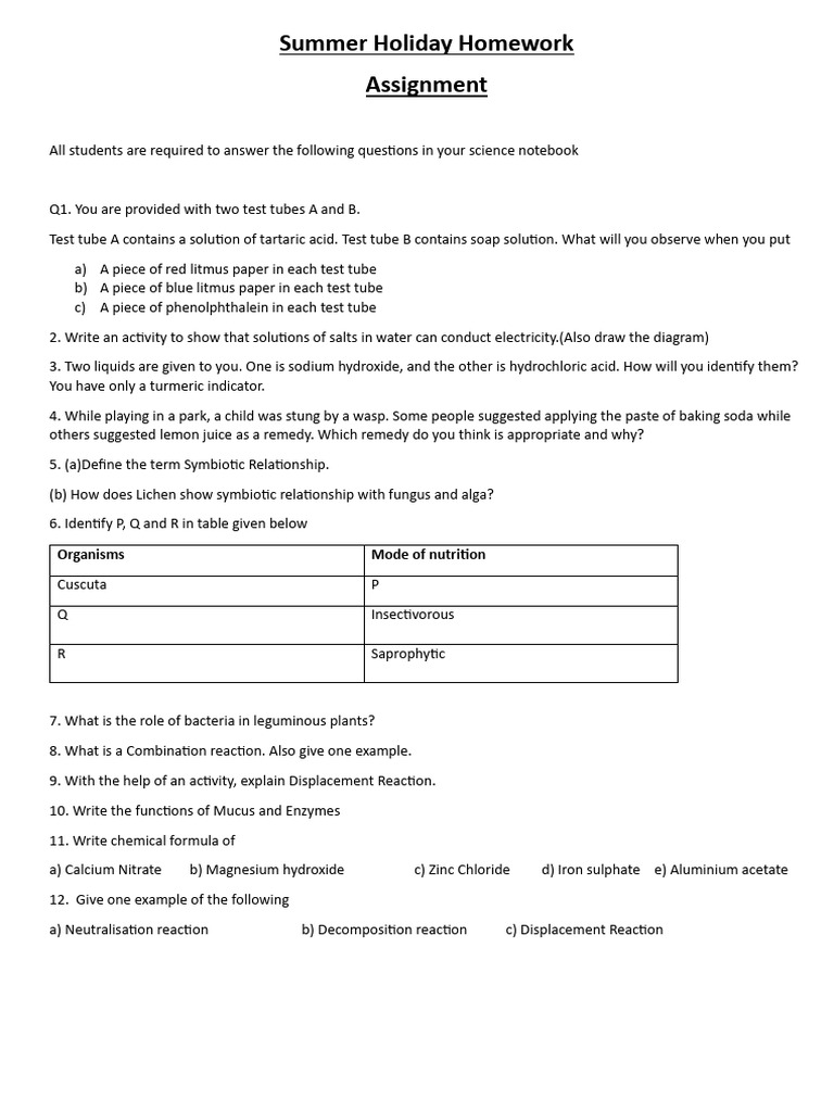 Summer Holiday Homework Class 7 | PDF