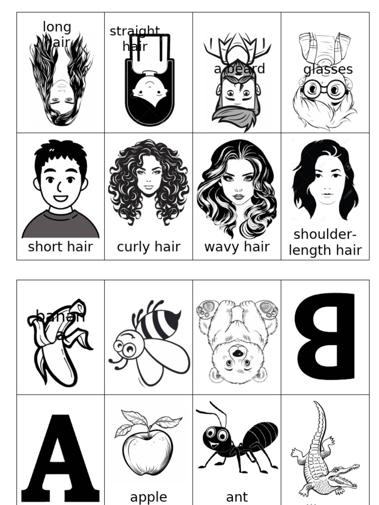 Hair Types and Styles Overview | PDF